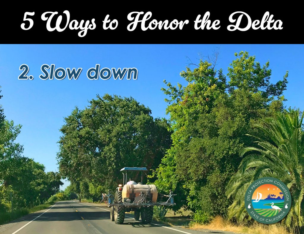 DELTA WEEK: Five Ways to Honor the Delta – Delta Protection Commission