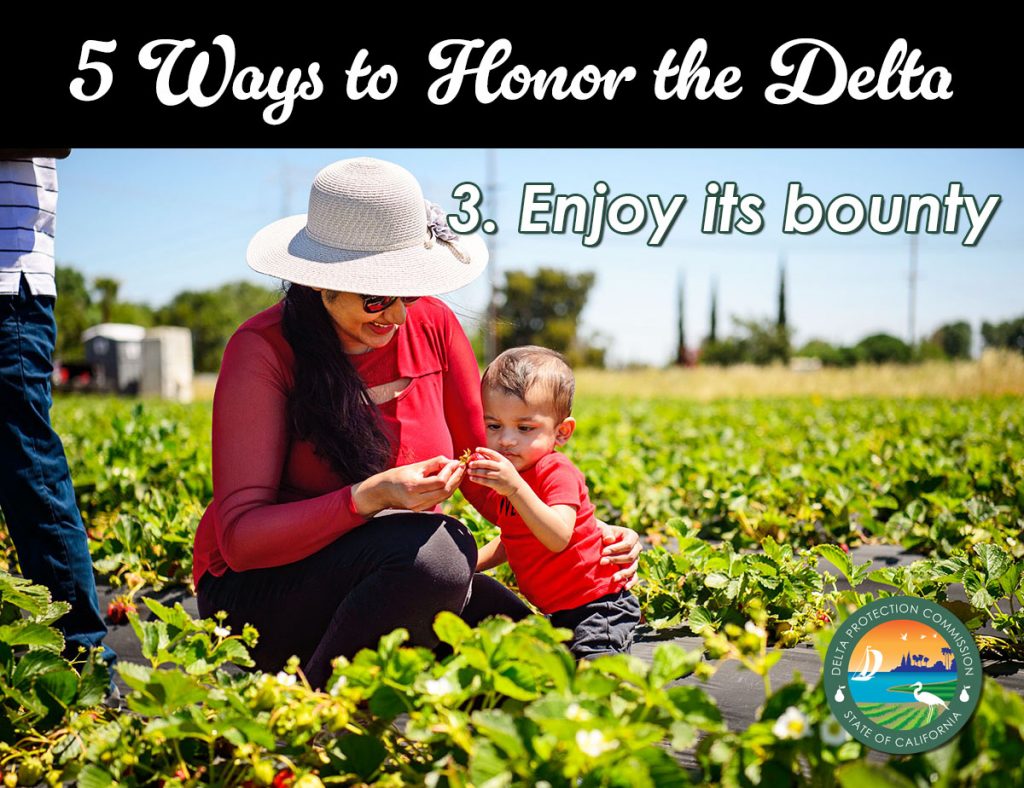 DELTA WEEK: Five Ways to Honor the Delta – Delta Protection Commission